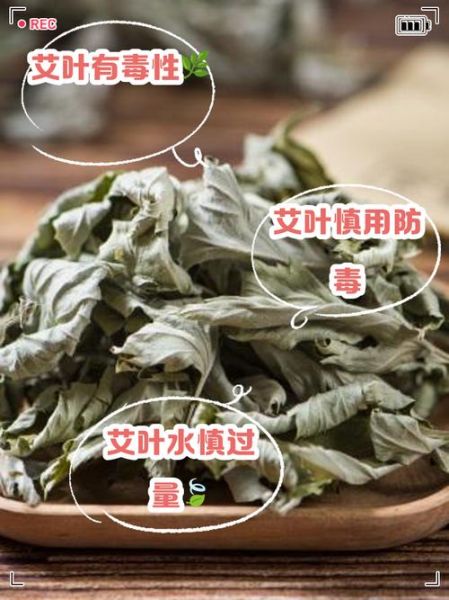 新鲜艾叶吃多少会中毒_艾叶中毒剂量是多少-第2张图片-山城妙识 新鲜艾叶吃多少会中毒_艾叶中毒剂量是多少-第2张图片-山城妙识