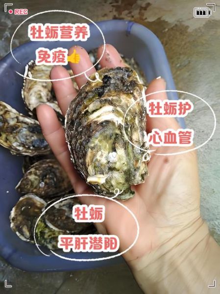 牡蛎的功效与作用_牡蛎怎么吃最补肾壮阳-第2张图片-山城妙识