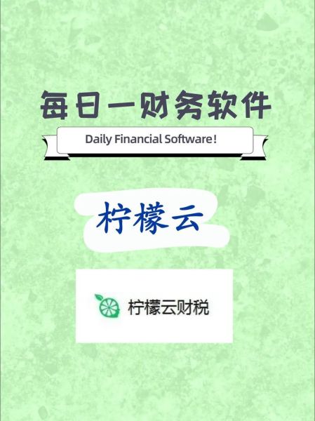 柠檬财务软件免费版怎么样_柠檬财务软件免费版好用吗-第2张图片-山城妙识