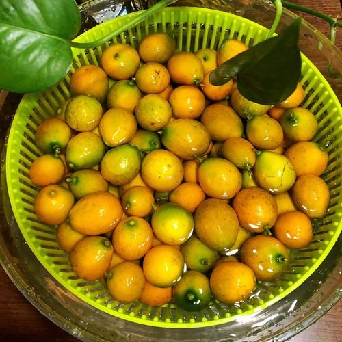 咸金桔腌发霉图片_还能吃吗-第1张图片-山城妙识