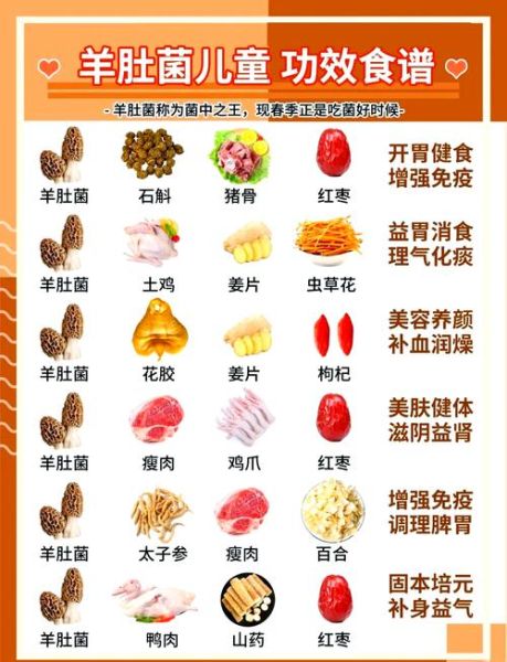 羊肚菌的功效与作用_羊肚菌煲汤怎么做好吃-第2张图片-山城妙识