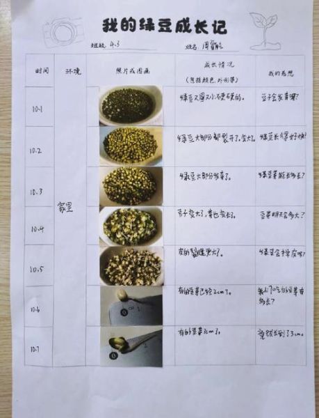 黄豆生长观察记录表图_如何记录黄豆每天变化-第3张图片-山城妙识