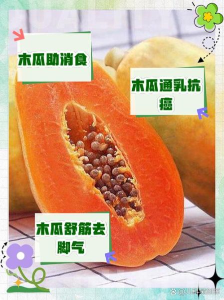 药木瓜的功效与作用是什么_药木瓜和木瓜区别-第3张图片-山城妙识