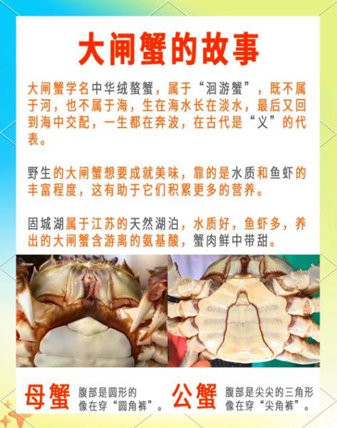吃大闸蟹有什么好处_大闸蟹营养价值高吗-第2张图片-山城妙识 吃大闸蟹有什么好处_大闸蟹营养价值高吗-第2张图片-山城妙识