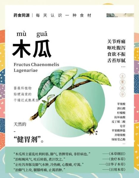 药木瓜的功效与作用是什么_药木瓜和木瓜区别-第1张图片-山城妙识