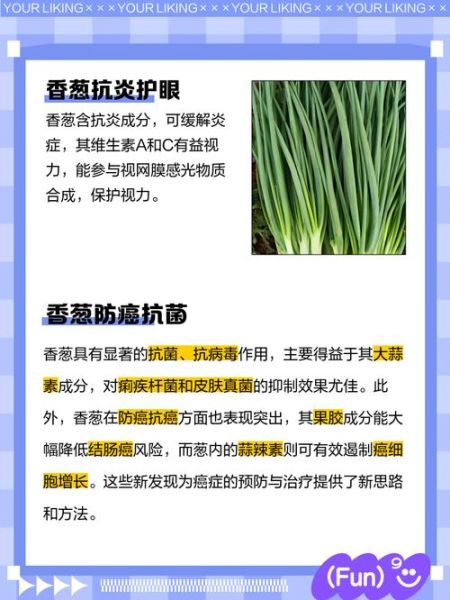 细香葱的营养价值_细香葱的功效与作用-第3张图片-山城妙识