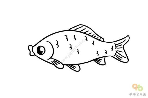 鲫鱼简笔画怎么画_鲫鱼图片简笔画教程-第1张图片-山城妙识