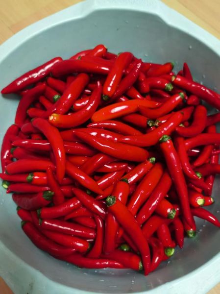 新鲜辣椒怎么做辣椒酱_自制辣椒酱保存多久-第3张图片-山城妙识