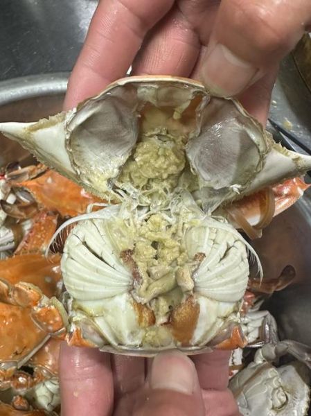 螃蟹水开后蒸多长时间_清蒸大闸蟹几分钟-第3张图片-山城妙识 螃蟹水开后蒸多长时间_清蒸大闸蟹几分钟-第3张图片-山城妙识