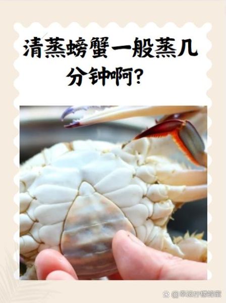 螃蟹水开后蒸多长时间_清蒸大闸蟹几分钟-第1张图片-山城妙识 螃蟹水开后蒸多长时间_清蒸大闸蟹几分钟-第1张图片-山城妙识