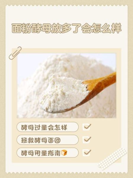 酵母粉发面多长时间_酵母粉发面失败原因-第2张图片-山城妙识