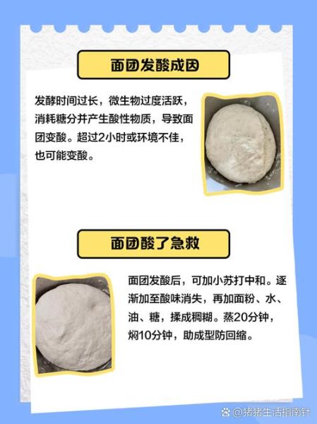 酵母粉发面多长时间_酵母粉发面失败原因-第1张图片-山城妙识