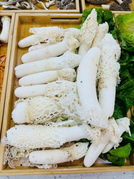 竹荪种植视频_竹荪怎么种植-第2张图片-山城妙识