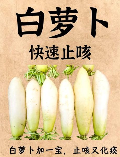 白萝卜治咳嗽的做法儿童_儿童咳嗽喝白萝卜水有用吗-第2张图片-山城妙识