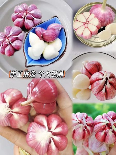 金乡大蒜价格今日多少钱一斤_金乡大蒜最新行情-第1张图片-山城妙识 金乡大蒜价格今日多少钱一斤_金乡大蒜最新行情-第1张图片-山城妙识