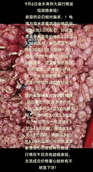 金乡大蒜价格今日多少钱一斤_金乡大蒜最新行情-第3张图片-山城妙识 金乡大蒜价格今日多少钱一斤_金乡大蒜最新行情-第3张图片-山城妙识