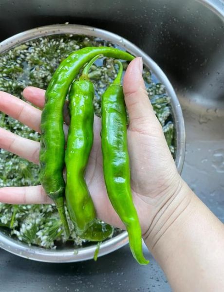 韭菜花酱怎么做_自制韭菜花酱保存多久-第1张图片-山城妙识 韭菜花酱怎么做_自制韭菜花酱保存多久-第1张图片-山城妙识