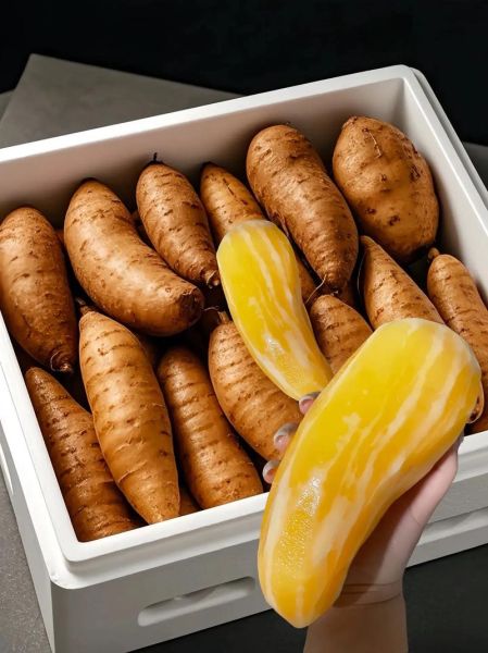 天山雪莲果怎么吃_天山雪莲果的正确吃法-第1张图片-山城妙识 天山雪莲果怎么吃_天山雪莲果的正确吃法-第1张图片-山城妙识