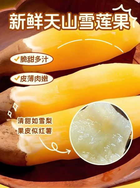 天山雪莲果怎么吃_天山雪莲果的正确吃法-第3张图片-山城妙识 天山雪莲果怎么吃_天山雪莲果的正确吃法-第3张图片-山城妙识