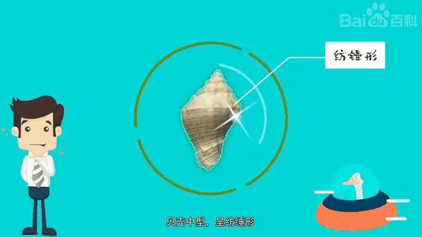 香螺养殖技术_香螺养殖注意事项-第2张图片-山城妙识