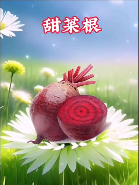 甜菜根图片大全大图_甜菜根怎么吃最有营养-第2张图片-山城妙识 甜菜根图片大全大图_甜菜根怎么吃最有营养-第2张图片-山城妙识