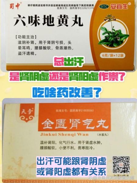 肾阳虚吃什么药最好男_肾阳虚怎么调理-第3张图片-山城妙识 肾阳虚吃什么药最好男_肾阳虚怎么调理-第3张图片-山城妙识