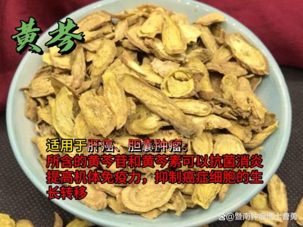 杀癌之王中药是什么_杀癌之王中药有哪些-第1张图片-山城妙识 杀癌之王中药是什么_杀癌之王中药有哪些-第1张图片-山城妙识