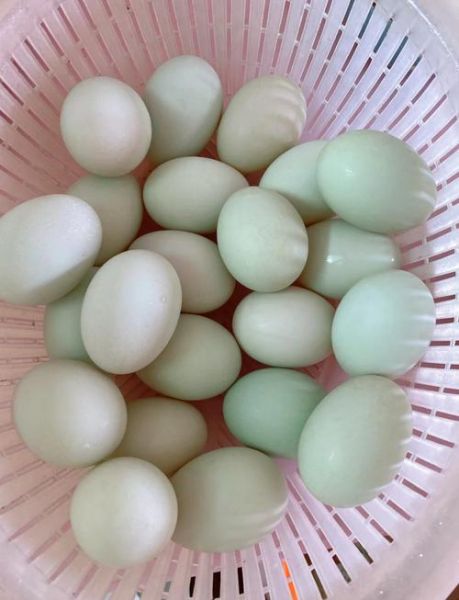 怎样腌鸭蛋出油又好吃_腌鸭蛋出油技巧-第2张图片-山城妙识 怎样腌鸭蛋出油又好吃_腌鸭蛋出油技巧-第2张图片-山城妙识