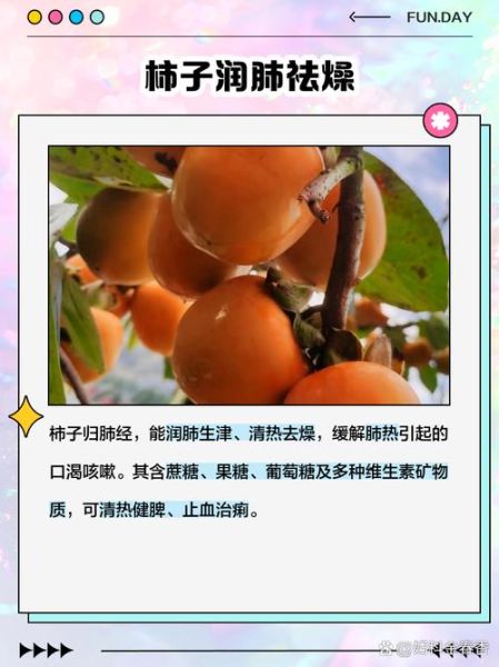 吃柿子的好处和坏处_吃柿子要注意什么-第3张图片-山城妙识 吃柿子的好处和坏处_吃柿子要注意什么-第3张图片-山城妙识