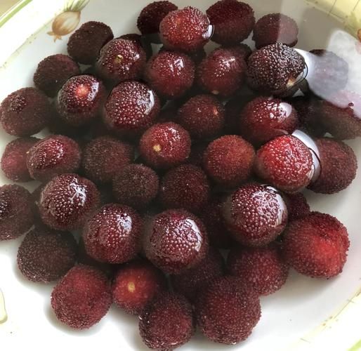 腌制杨梅干怎么做_杨梅干保存多久-第1张图片-山城妙识