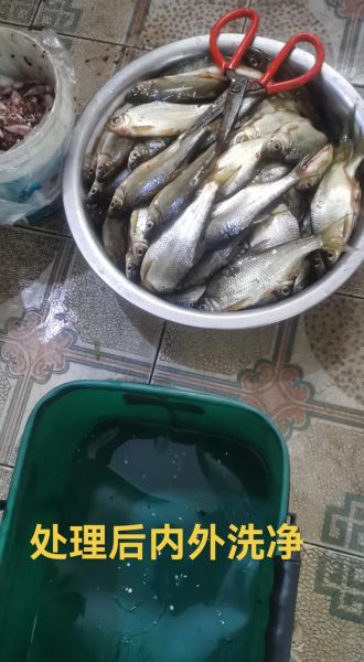 湖南腊鱼怎么做好吃又简单_家常做法步骤-第1张图片-山城妙识 湖南腊鱼怎么做好吃又简单_家常做法步骤-第1张图片-山城妙识