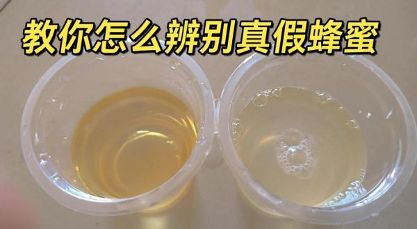 一杯清水辨别蜂蜜真假_真假蜂蜜怎么分辨-第3张图片-山城妙识