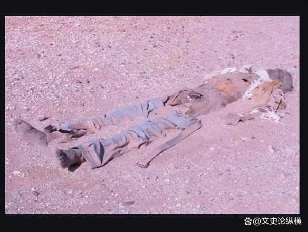 罗布泊双鱼玉佩事件真相_双鱼玉佩到底是什么-第1张图片-山城妙识 罗布泊双鱼玉佩事件真相_双鱼玉佩到底是什么-第1张图片-山城妙识