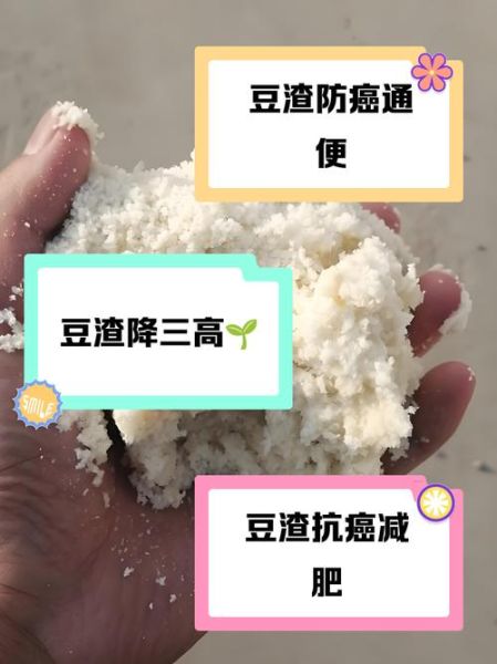 发酵豆渣的营养价值_如何科学食用-第3张图片-山城妙识