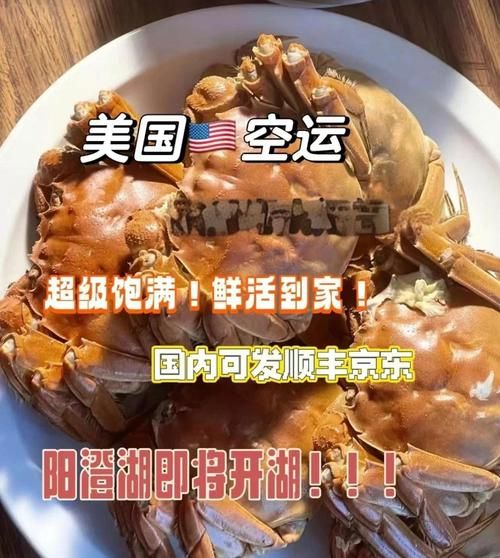 阳澄湖大闸蟹10只价格_怎么挑选正宗-第3张图片-山城妙识 阳澄湖大闸蟹10只价格_怎么挑选正宗-第3张图片-山城妙识