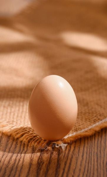 鸡蛋图片高清_如何拍摄-第3张图片-山城妙识 鸡蛋图片高清_如何拍摄-第3张图片-山城妙识