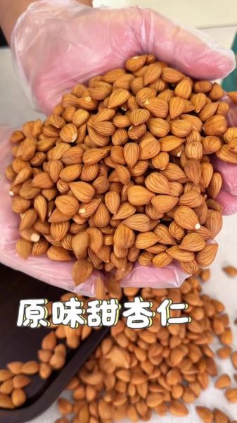 杏仁怎么吃_杏仁一天吃多少粒合适-第3张图片-山城妙识