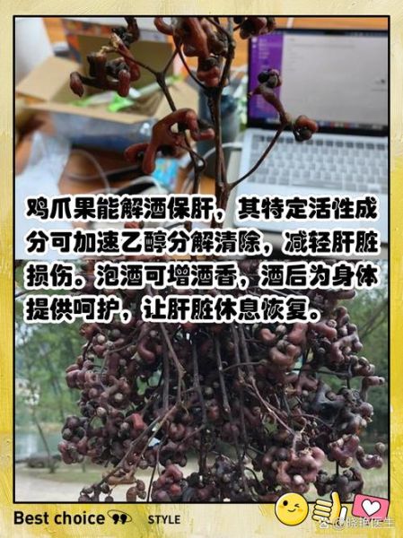 鸡爪梨泡酒的功效与作用_鸡爪梨泡酒怎么泡-第2张图片-山城妙识 鸡爪梨泡酒的功效与作用_鸡爪梨泡酒怎么泡-第2张图片-山城妙识