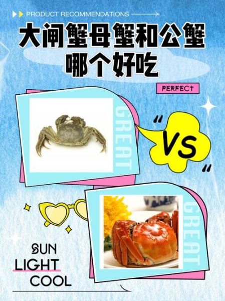 大闸蟹公母大小对比_几两重才好吃-第3张图片-山城妙识 大闸蟹公母大小对比_几两重才好吃-第3张图片-山城妙识