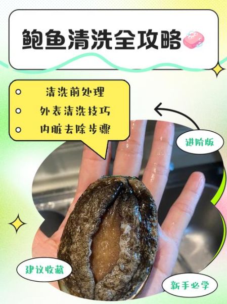 鲍鱼怎么吃最正确_鲍鱼怎么清洗才干净-第1张图片-山城妙识