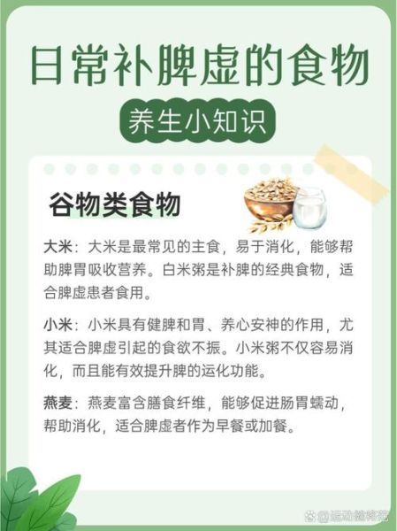 脾胃虚弱吃什么调理_脾胃虚弱怎么调理最快-第1张图片-山城妙识