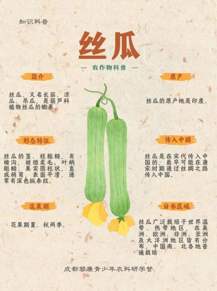 丝瓜藤肉豆须的区别_哪个更好吃-第1张图片-山城妙识