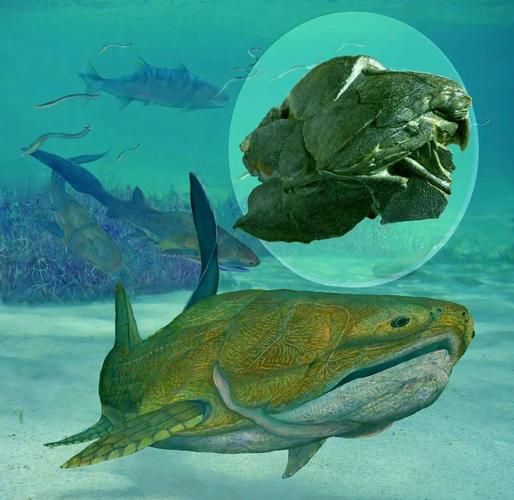 邓氏鱼有多大_邓氏鱼吃什么-第1张图片-山城妙识