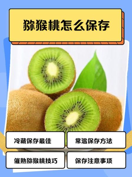 猕猴桃怎么保存_猕猴桃可以放多久-第2张图片-山城妙识 猕猴桃怎么保存_猕猴桃可以放多久-第2张图片-山城妙识