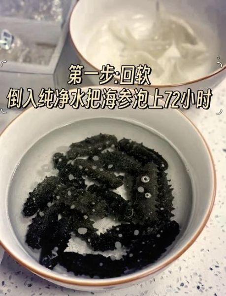 干海参怎么泡发_干海参家常做法大全-第3张图片-山城妙识