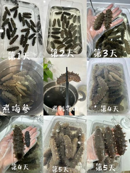 干海参怎么泡发_干海参家常做法大全-第2张图片-山城妙识