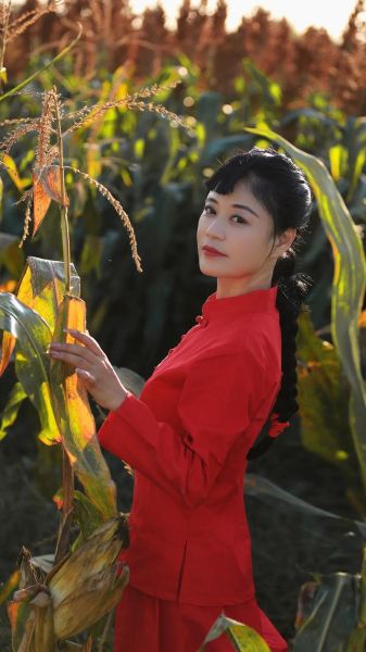 红高粱结局_九儿为什么牺牲-第1张图片-山城妙识 红高粱结局_九儿为什么牺牲-第1张图片-山城妙识