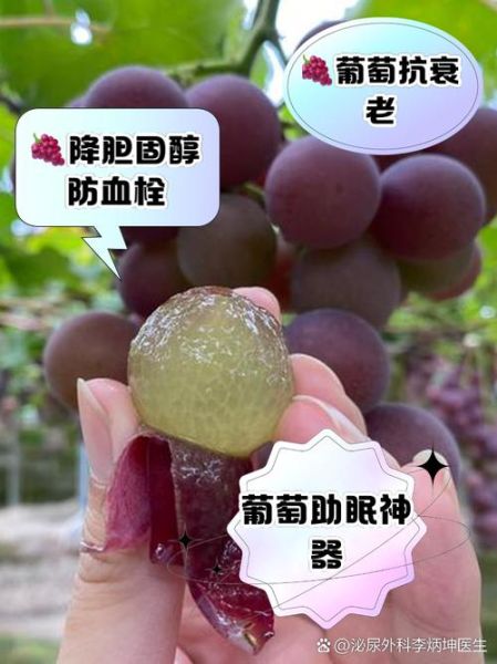 巨峰葡萄热量高吗_巨峰葡萄减肥能吃吗-第1张图片-山城妙识 巨峰葡萄热量高吗_巨峰葡萄减肥能吃吗-第1张图片-山城妙识