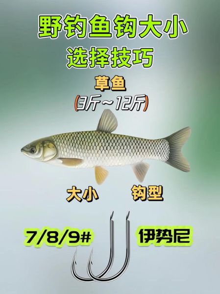 钓鲳鱼用什么钩_钓鲳鱼钩型选择-第3张图片-山城妙识 钓鲳鱼用什么钩_钓鲳鱼钩型选择-第3张图片-山城妙识
