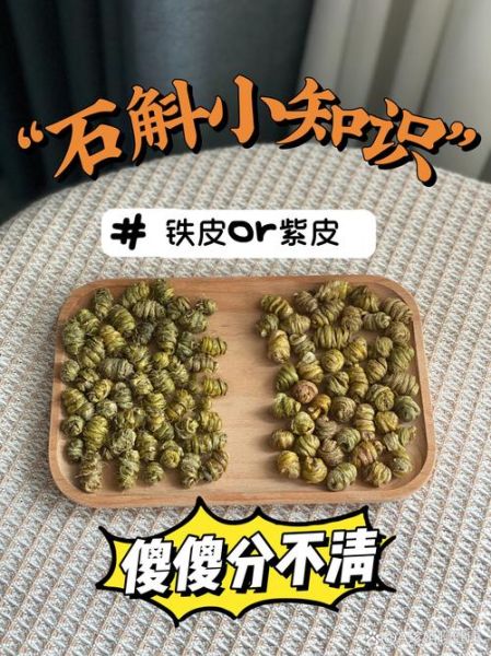 紫皮石斛和铁皮石斛哪个好_区别与功效对比-第1张图片-山城妙识